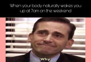 25 ‘Office’ Memes for Avoiding Dinner with Your Boss - Funny Gallery ...