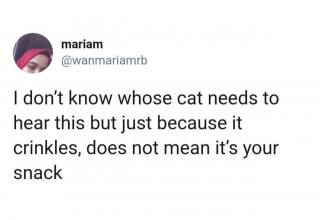 31 Fresh Randoms to Titillate the Timeline - Funny Gallery | eBaum's World