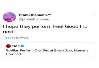 28 Pics and Memes from the Top-Shelf - Funny Gallery | eBaum's World