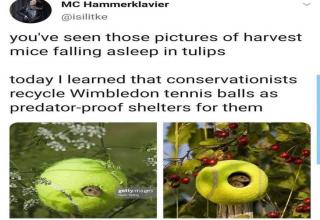 28 Pics and Memes from the Top-Shelf - Funny Gallery | eBaum's World