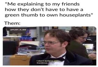 32 'The Office' Memes to Print on Dunder Mifflin Paper and Mail to Your ...