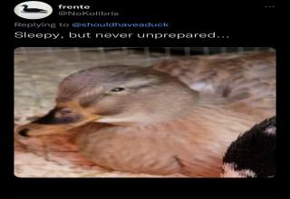 33 Funny Memes that Fell Off Twitter's Tractor Trailer - Funny Gallery ...