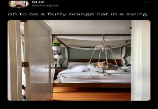 33 Funny Memes that Fell Off Twitter's Tractor Trailer - Funny Gallery ...