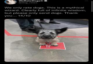 31 Fresh Memes We Found Loitering in the Parking Lot - Funny Gallery ...