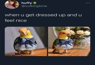 31 Banger Tweets That Make Us Feel Seen - Funny Gallery | eBaum's World