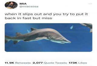 31 Funny Pics And Dope Memes For Your Daily Dose - Funny Gallery ...