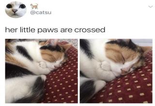 25 Fresh Pics And Memes to Get You Out of Bed - Funny Gallery | eBaum's ...