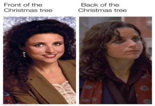 29 Fresh Pics and Memes That Smell Like Mistletoe - Funny Gallery ...