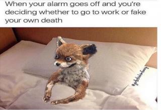 25 Fresh Pics And Memes To Help You Make the Final Push - Funny Gallery ...