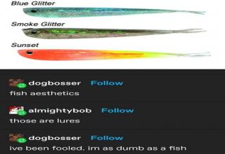 25 Fresh Pics And Memes To Help You Make the Final Push - Funny Gallery ...