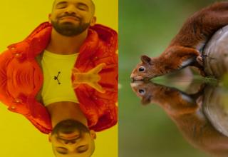 25 Fresh Pics And Memes To Help You Make the Final Push - Funny Gallery ...