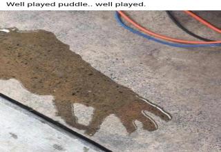 Laugh-Out-Loud: 44 Memes and Pics to Brighten Your Day - Funny Gallery ...