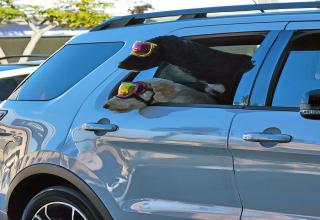 Morning Meme Madness: 25 Memes To Shake Off the Cobwebs - Funny Gallery ...