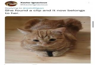 Morning Meme Madness: 25 Memes To Shake Off the Cobwebs - Funny Gallery ...