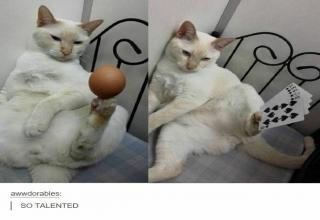 Morning Meme Madness: 25 Memes To Shake Off the Cobwebs - Funny Gallery ...