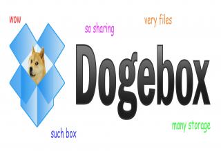 The Best Of: Doge | eBaum's World