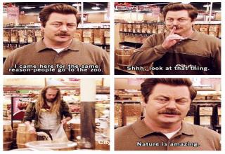 Awesome Pics Cause It's Friday, Why Not? - Funny Gallery | eBaum's World