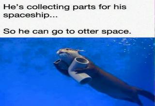 45 Insane Pics to Improve Your Mood - Wow Gallery | eBaum's World