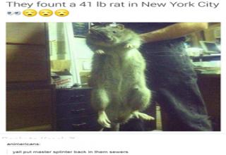 45 Insane Pics to Improve Your Mood - Wow Gallery | eBaum's World