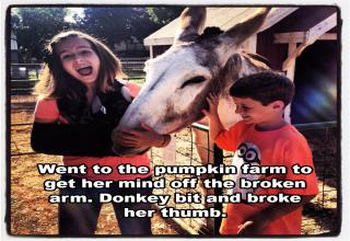 43 Great Pics To Help You Kick Monday's Ass - Funny Gallery | eBaum's World