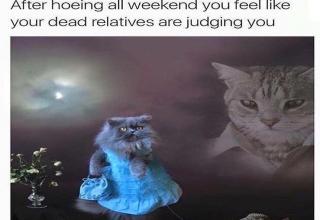 32 Harsh Memes Meant To Offend | eBaum's World