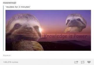 32 Funny Memes To Brighten Up Your Day | eBaum's World