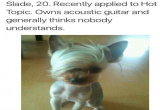 31 Memes So Harsh They're Funny | eBaum's World