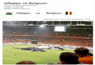 31 Memes So Harsh They're Funny | eBaum's World