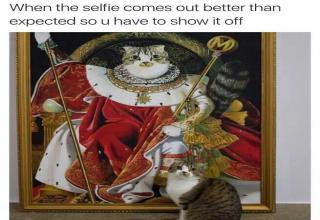 31 Memes So Harsh They're Funny | eBaum's World