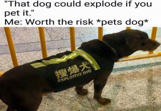 31 Memes So Harsh They're Funny | eBaum's World