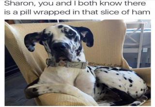 31 Memes So Harsh They're Funny | eBaum's World