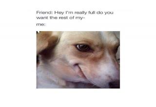 Fresh Picked Memes That Will Brighten Your Day - Funny Gallery | eBaum ...