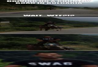 29 Quick Pics and Memes to Improve Your Mood - Gallery | eBaum's World