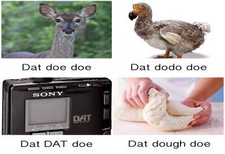 Mood Enhancing Pics and Memes - Funny Gallery | eBaum's World