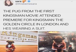 49 Ridiculous Memes and Pics To Make You LOL - Gallery | eBaum's World