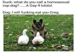 35 Hilarious Pics And Memes To Stimulate Your Mind - Funny Gallery ...