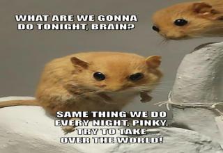 49 Great Pics And Memes to Elevate Yourself - Funny Gallery | eBaum's World