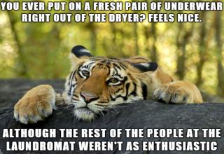 49 Excellent Memes and Pics that are Worth a Click - Funny Gallery ...