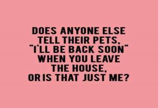 38 Pics and Memes to Lift You Up - Funny Gallery | eBaum's World