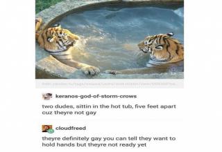 50 Great Pics And Memes that will Give You a Boost - Funny Gallery ...