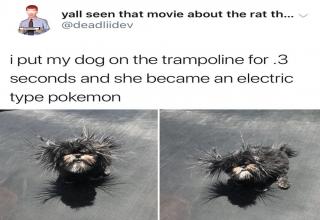 50 Great Pics And Memes that will Give You a Boost - Funny Gallery ...