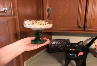 42 Steaming Hot Pics and Memes to Chow Down On - Funny Gallery | eBaum ...