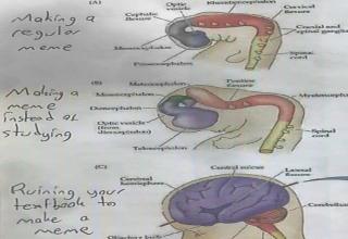 52 Great Pics And Memes to Improve Your Mood - Funny Gallery | eBaum's ...