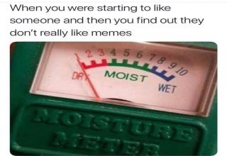 43 Great Pics And Memes to Improve Your Mood - Wow Gallery | eBaum's World