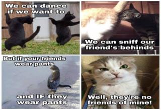 39 Fun Pics to Give You a Lift - Funny Gallery | eBaum's World