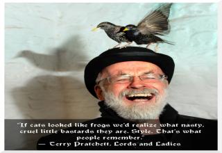 39 Fresh Pics Packed To The Brim With Cool - Funny Gallery | eBaum's World