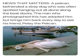 39 Fantastic Pics and Memes for Your Delight - Funny Gallery | eBaum's ...