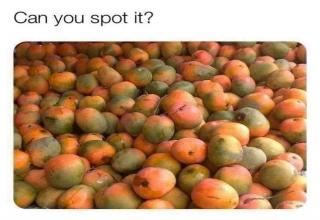 39 Fantastic Pics and Memes for Your Delight - Funny Gallery | eBaum's ...