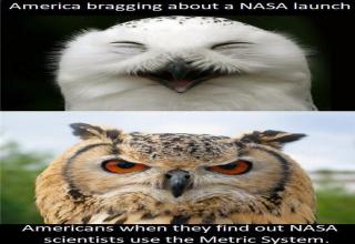 50 Fun Memes for a Fun Time - Funny Gallery | eBaum's World