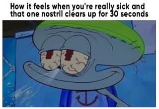 56 Funny Memes of the Dank Variety - Funny Gallery | eBaum's World